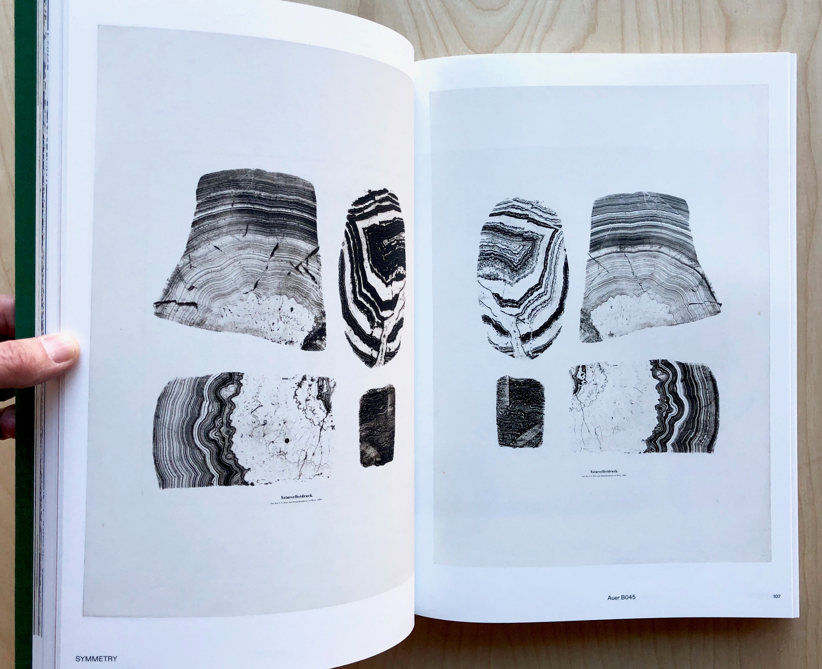 CAPTURING NATURE edited by Matthew Zucker and Pia Östlund (Ltd. to 500 ...