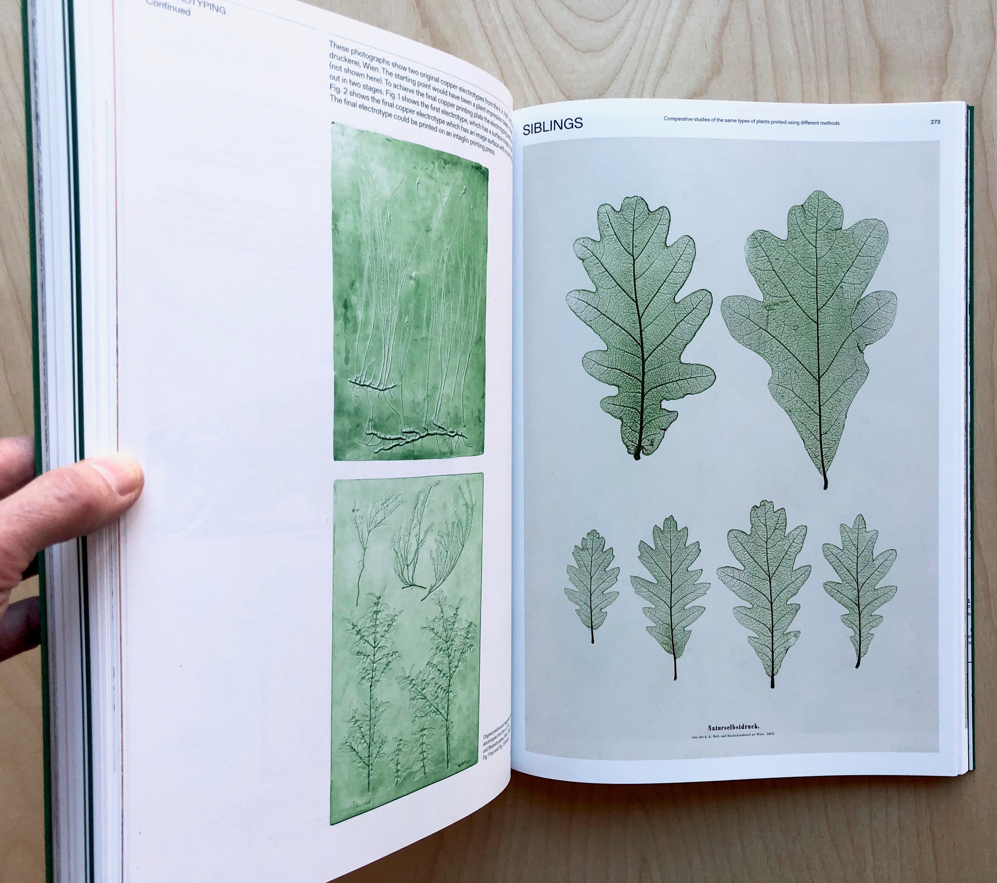 CAPTURING NATURE edited by Matthew Zucker and Pia Östlund (Ltd. to 500 ...