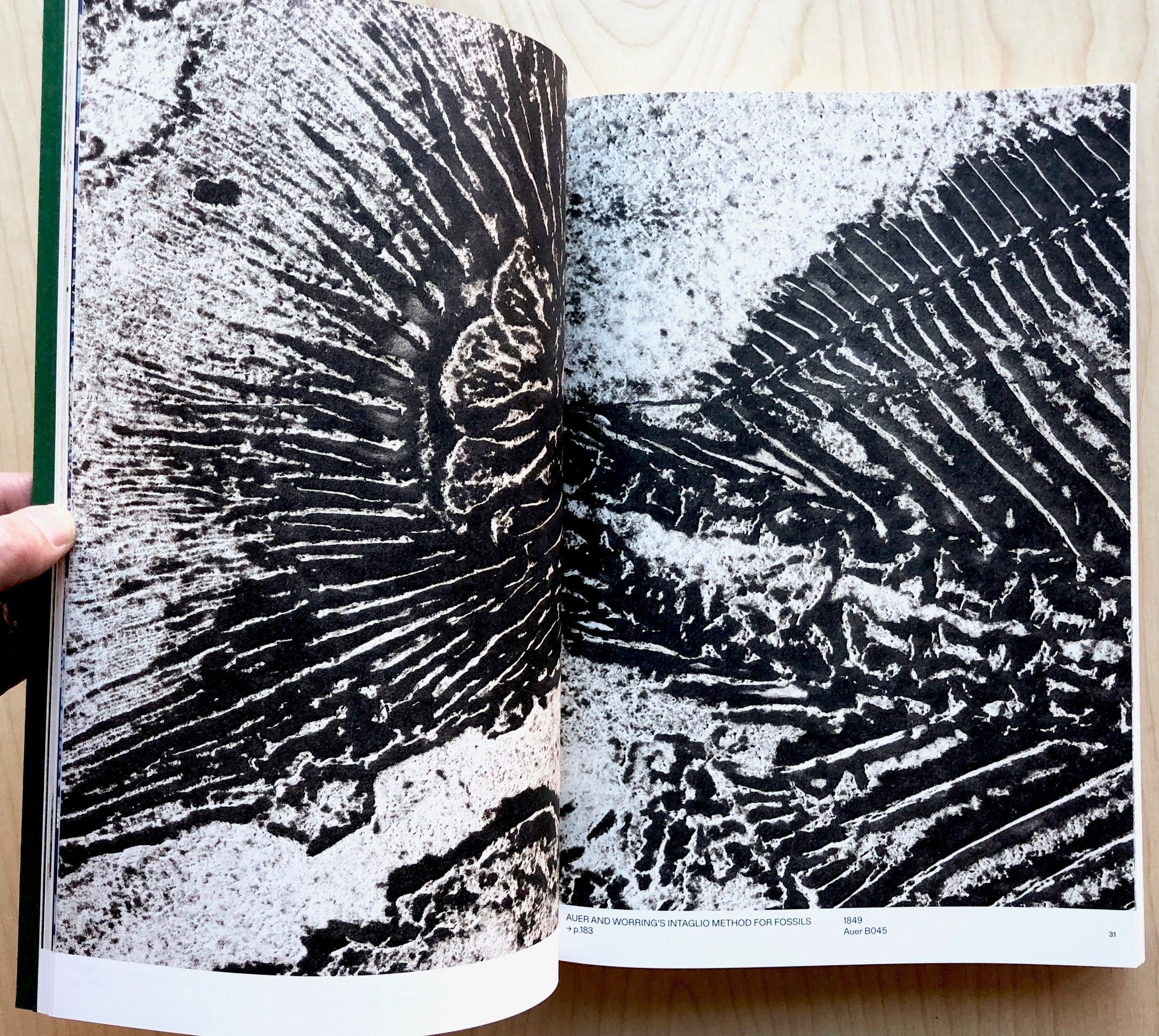 CAPTURING NATURE edited by Matthew Zucker and Pia Östlund (Ltd. to 500 ...